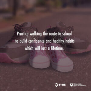 Tree stumps - NC Vision Zero